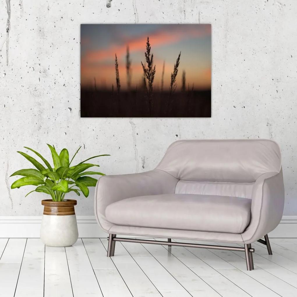 Skleněný obraz - Silueta rostliny (70x50 cm)