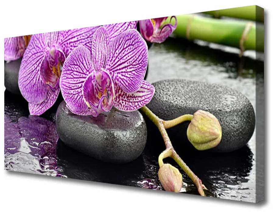 Obraz na plátně Kameny Zen Orchidej Lázně 100x50 cm