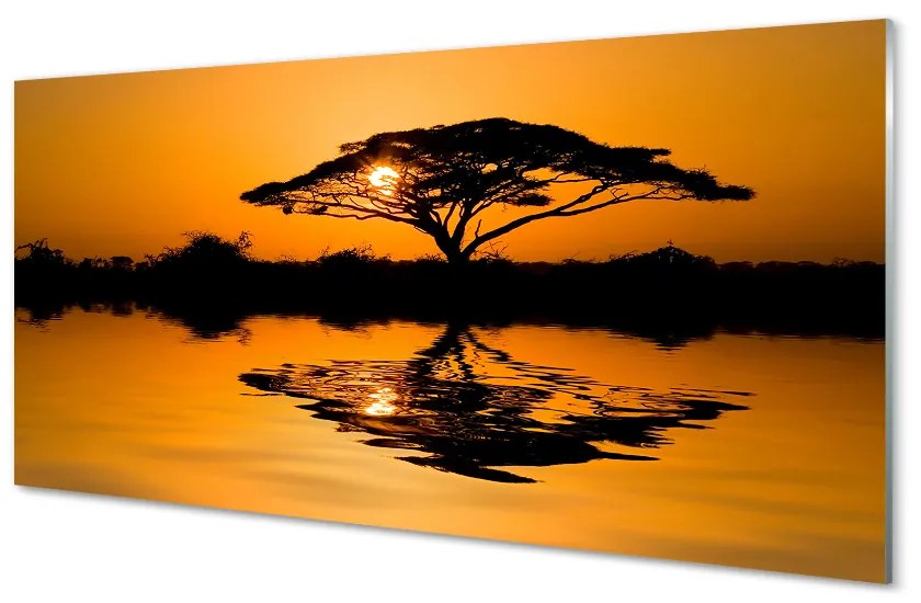 akrylový obraz Sunset tree 120x60 cm