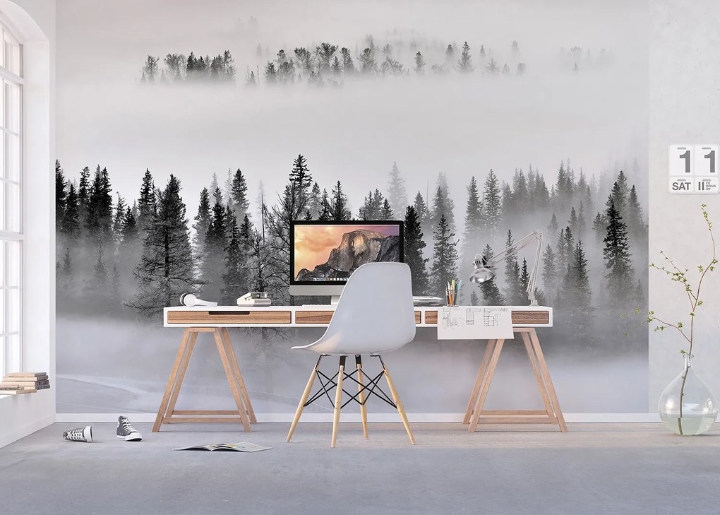 Fototapeta na míru Stromy v Mlze | Vliesová fototapeta na zed' | DFTNXXL3008