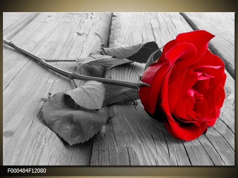 Obraz na plátně Červená růže, Obdélník 120x80cm 2198 Kč