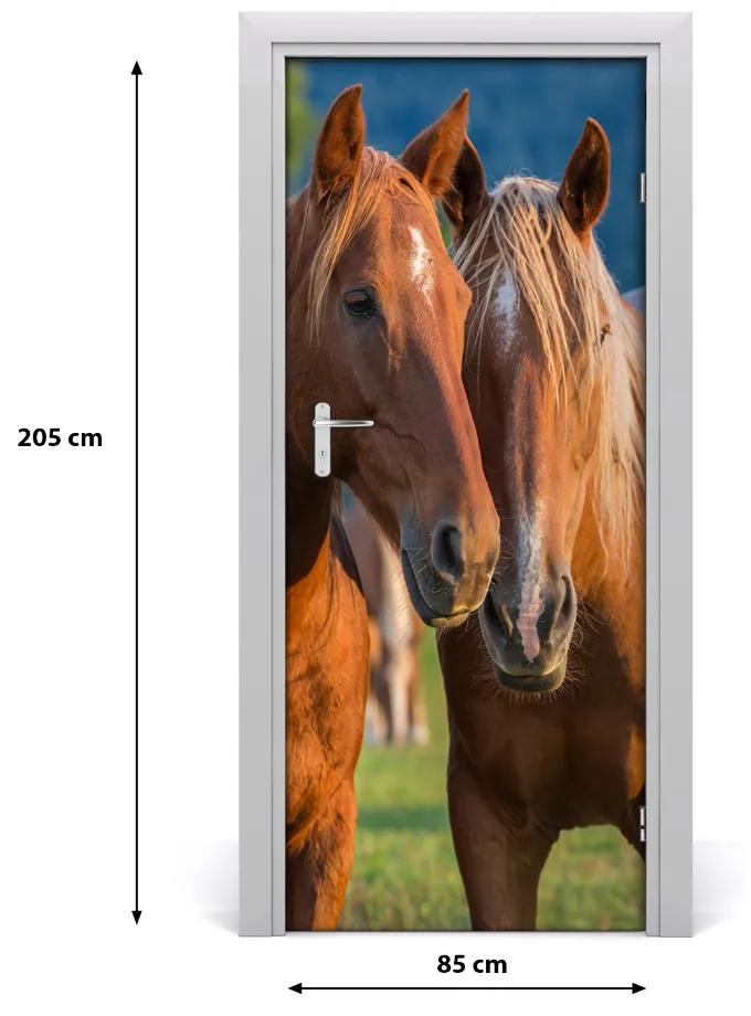 Samolepící fototapeta na dveře Dva koně 85x205 cm