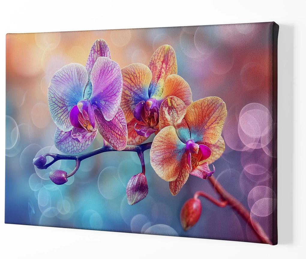 Obraz na plátně - Orchidej, tři bratři FeelHappy.cz Velikost obrazu: 120 x 80 cm