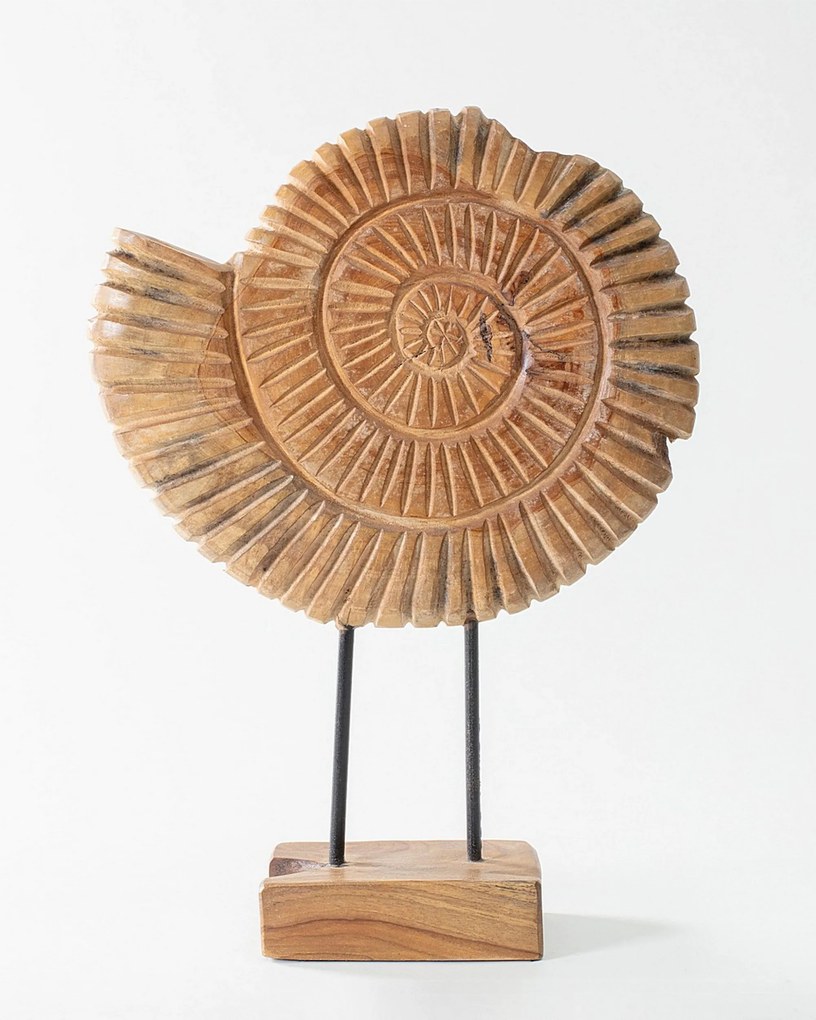 Dekorace Fossil 45 cm