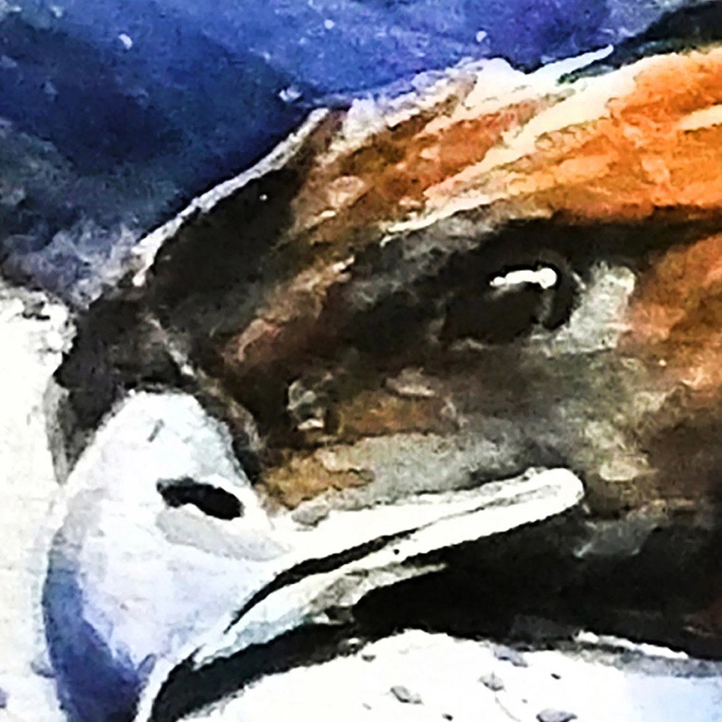 Malvis ® Tapeta Akvarel dravec Vel. (šířka x výška): 216 x 140 cm