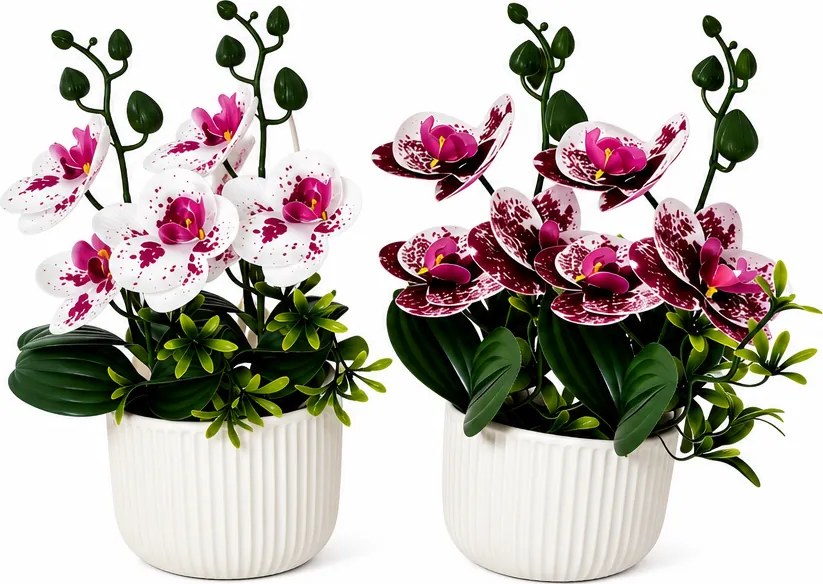 umělá květina, orchidej Phalaenopsis, sada 2 ks, výška 38 cm, plast, bílá/vínová, Dekorino UK20260030
