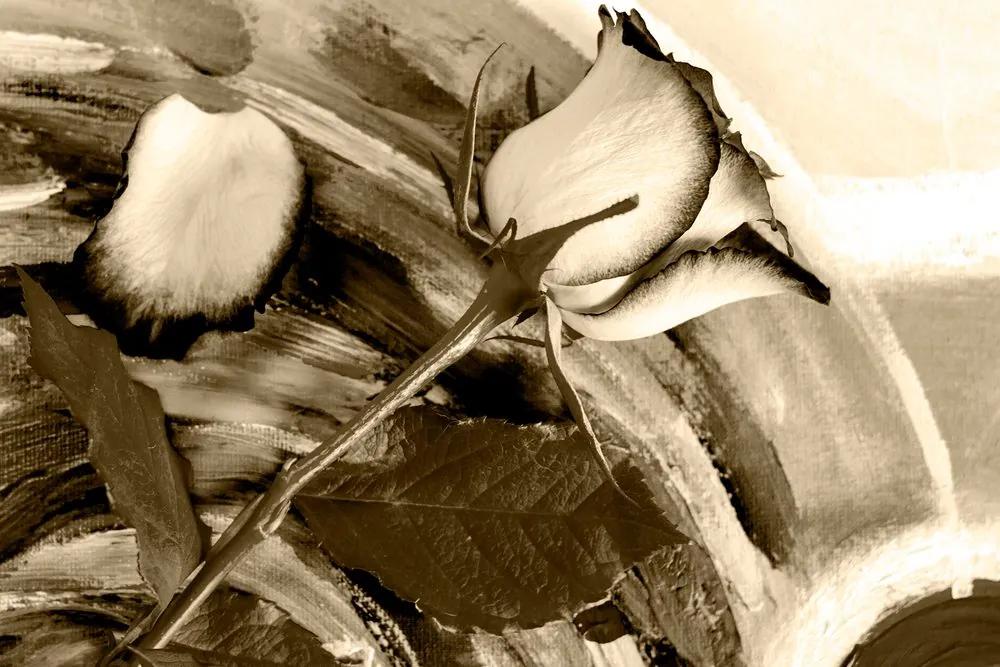 Obraz růže v sépiovém provedení Varianta: 120x80