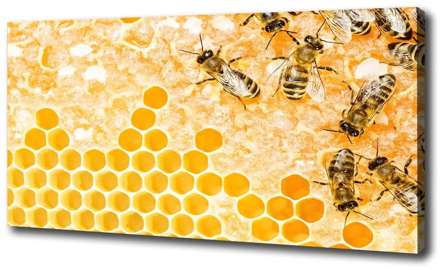 Wallmuralia Foto obraz na plátně Pracující včely 100x50 cm