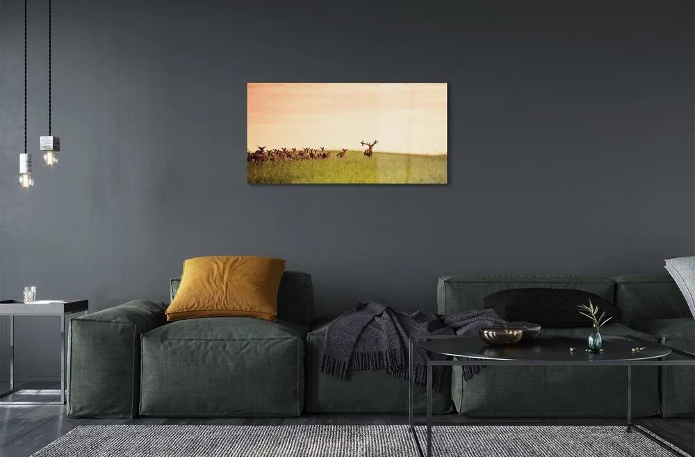 Obraz na skle Stádo jelenů pole svítání 120x60 cm