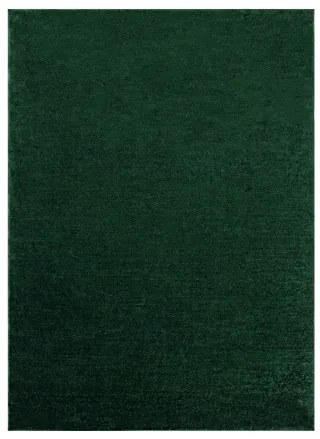 koberec SOFTY, Jednotný, Jednobarevný, forest zelená velikost 200x290 cm | krásné koberce cz
