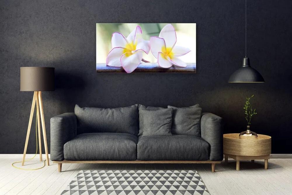 Plexisklo-obraz Květiny Plátky Plumérie 100x50 cm