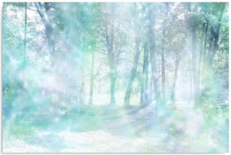 Obraz CARO - Forest In The Sun 40x30 cm