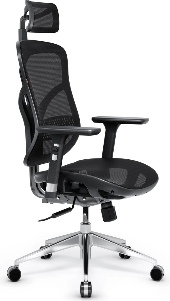 Ergonomická kancelářská židle ze síťoviny černá: Diablo V-Basic