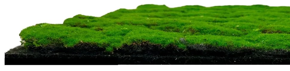 Mechový obkladový panel Jangal Modular Wall Design Moss FOREST GREEN 11108, 520 x 520mm, 0,2704m²