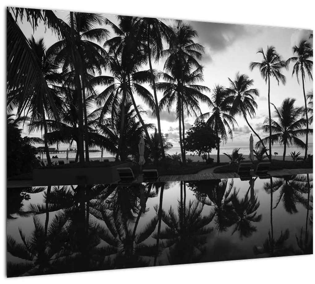 Skleněný obraz tropického ostrova (70x50 cm)