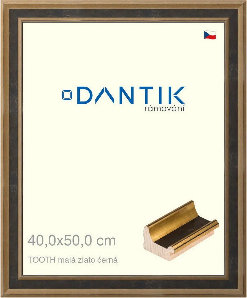 DANTIK rámeček 40x50 | TOOTH malá zlato černá (Sklo Čiré)