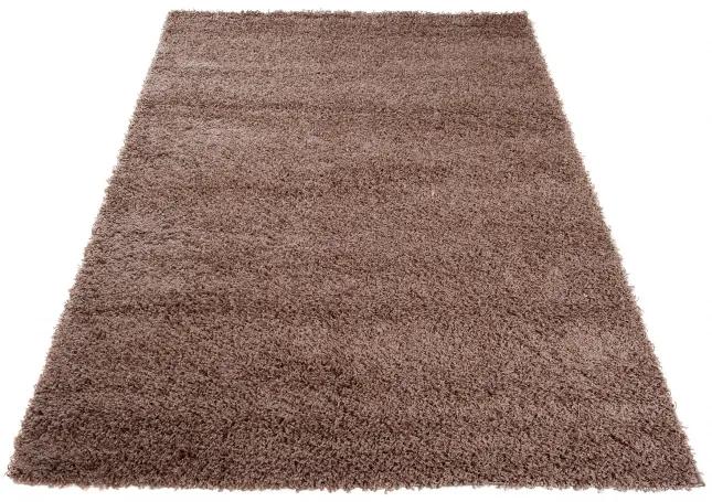 Exkluzivní kusový koberec SHAGGY SKANDY SK0600 - 120x170 cm
