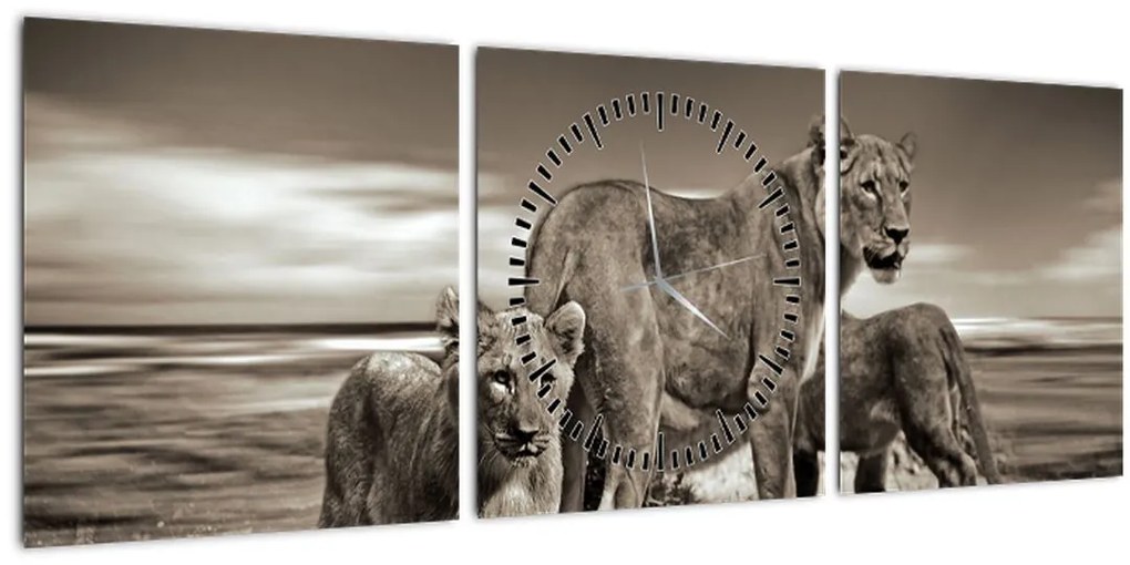 Obraz černobílých lvů (s hodinami) (90x30 cm)