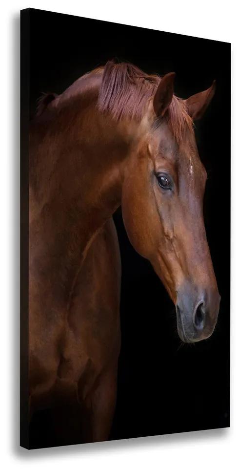 Wallmuralia Foto obraz na plátně Portrét koně 60x120 cm