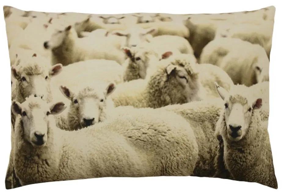 Bavlněný polštář Ovce 40x60 cm - 60*10*40cm