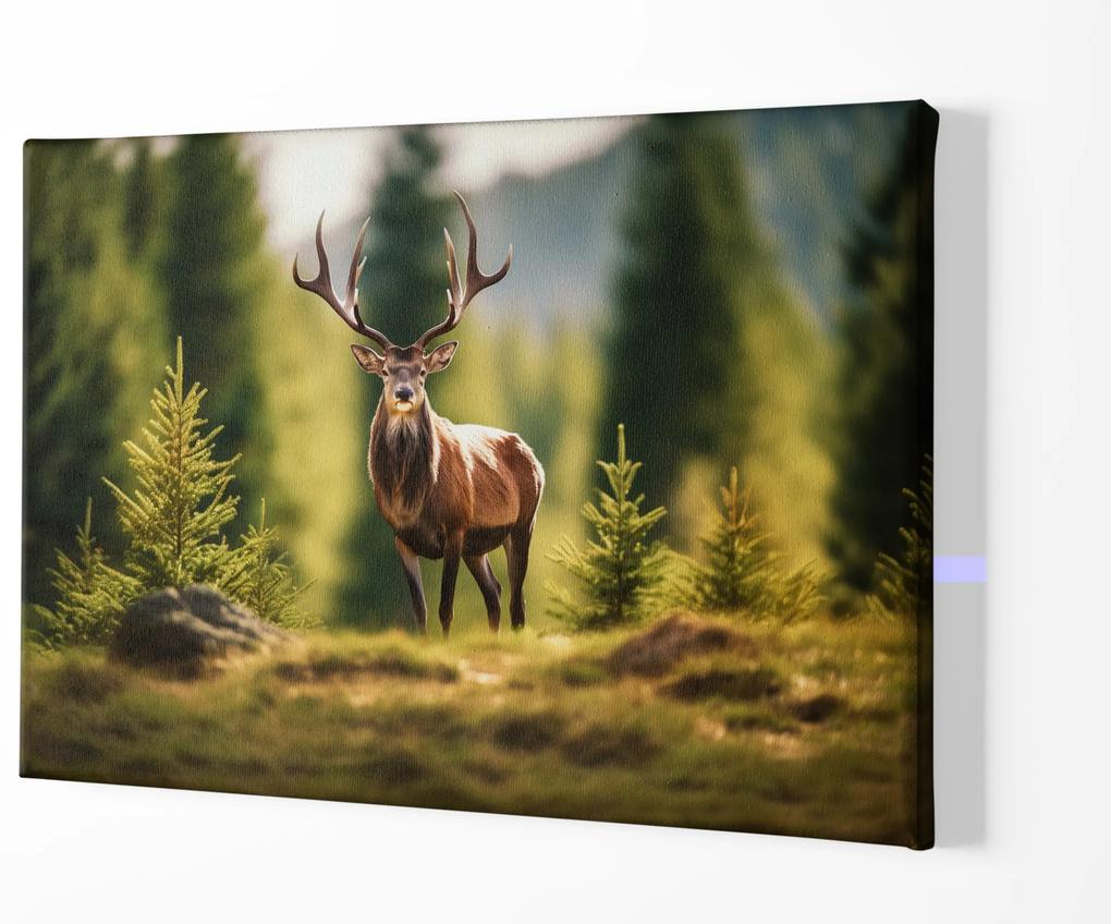 Obraz na plátně - Majestátní jelen mezi malými smrčky FeelHappy.cz Velikost obrazu: 150 x 100 cm