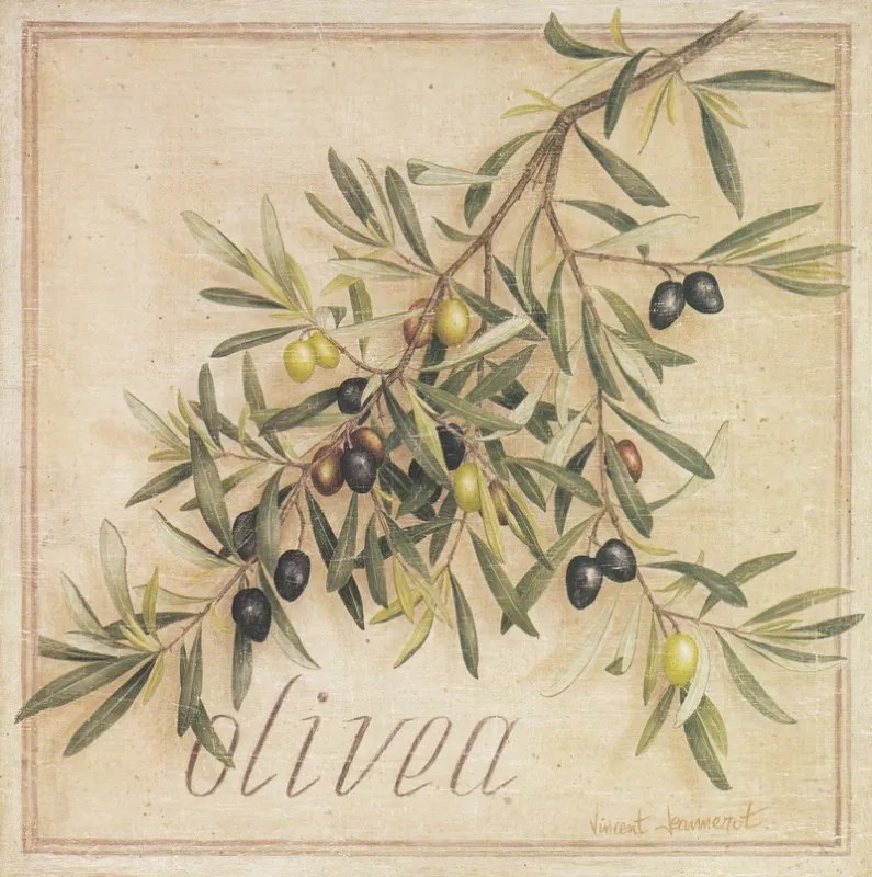 ART-STYLE Obrázek 20x20, olivea, rám bílý s patinou