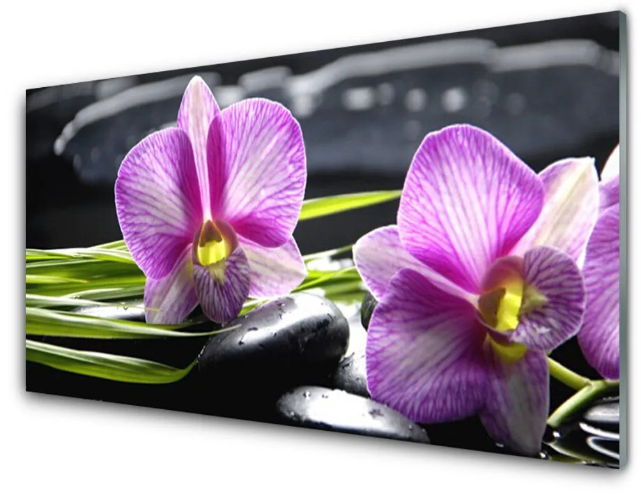 Plexisklo-obraz Orchidej Kameny Zen Lázně 140x70cm