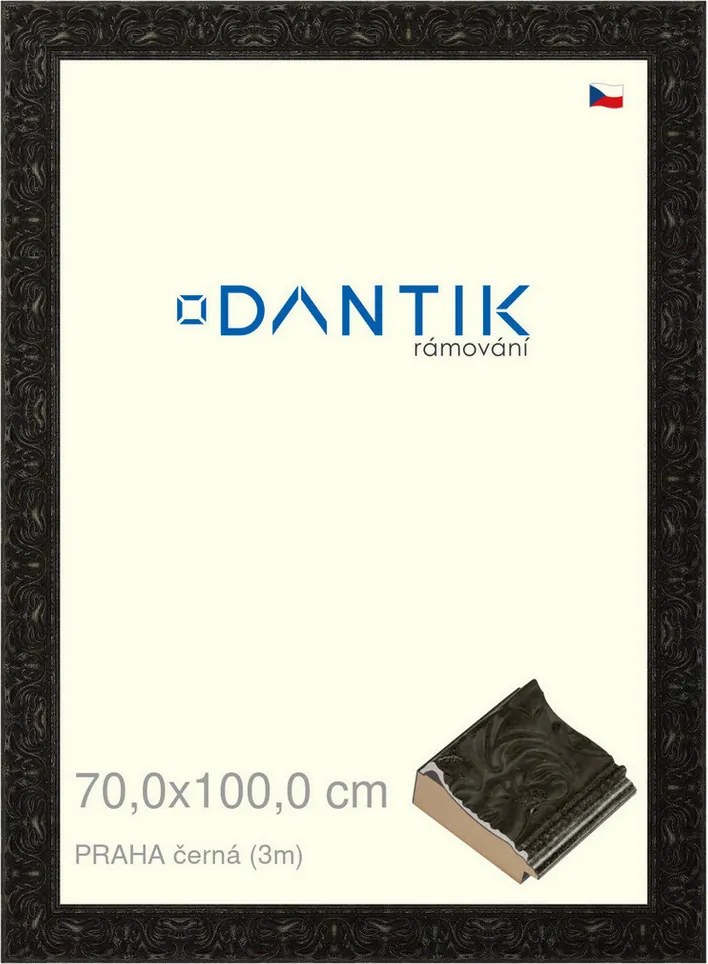 DANTIK rámeček 70x100 | PRAHA černá (Plexi Čiré)