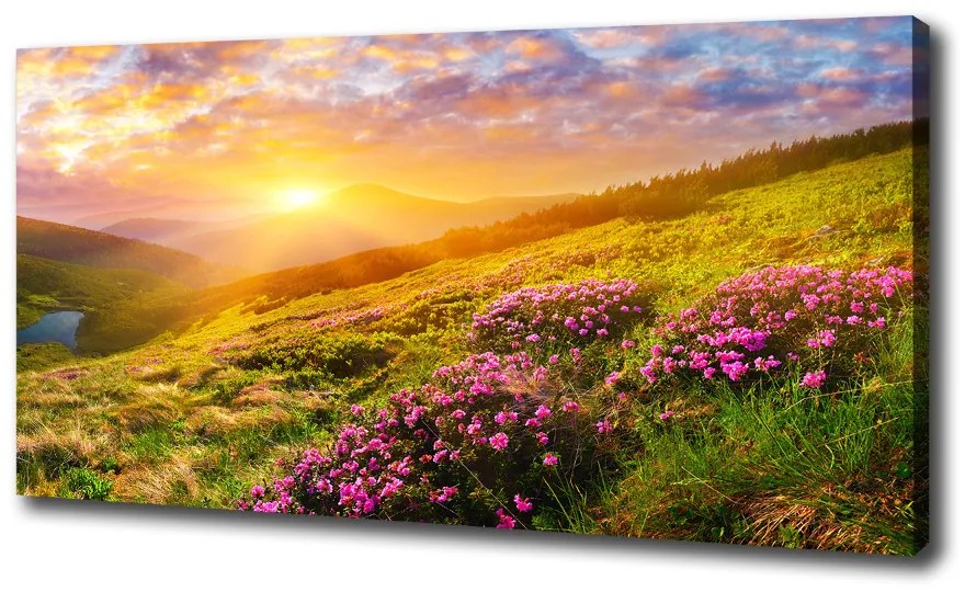 Wallmuralia Foto obraz na plátně do obýváku Západ slunce hory 100x50