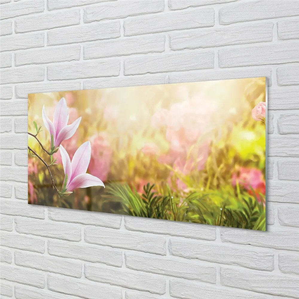 Obraz na skle Magnolie strom slunce 120x60 cm