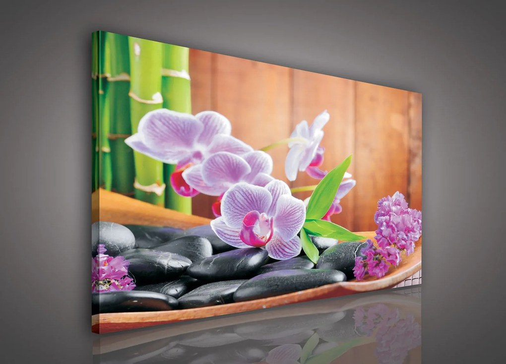 Postershop Obraz na plátně: Orchidej (1) - 80x60 cm