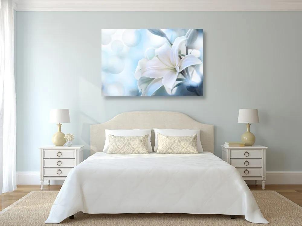 Obraz bílý květ lilie na abstraktním pozadí Varianta: 120x80