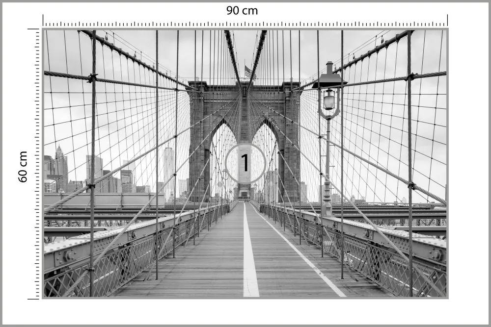 Fototapeta Brooklynský Most Omyvatelný vlies 104x70.5