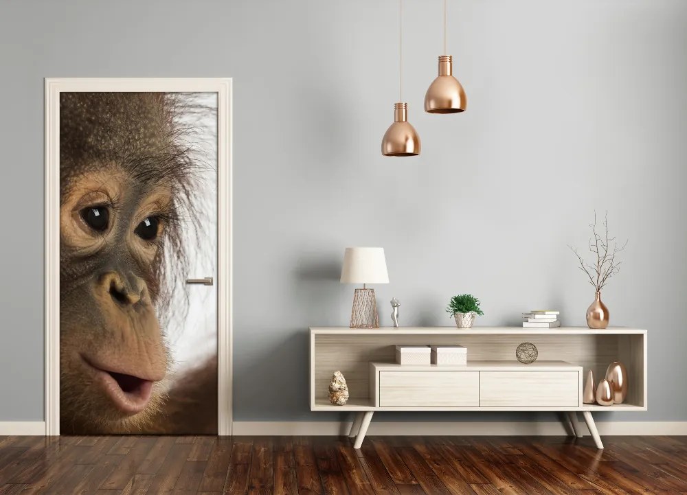 Samolepící fototapeta na dveře Mladý orangután 95x205 cm