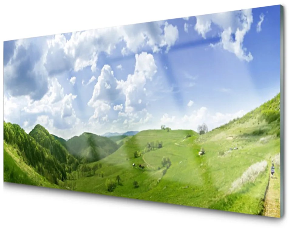 Skleněný obraz Hora Louka Příroda