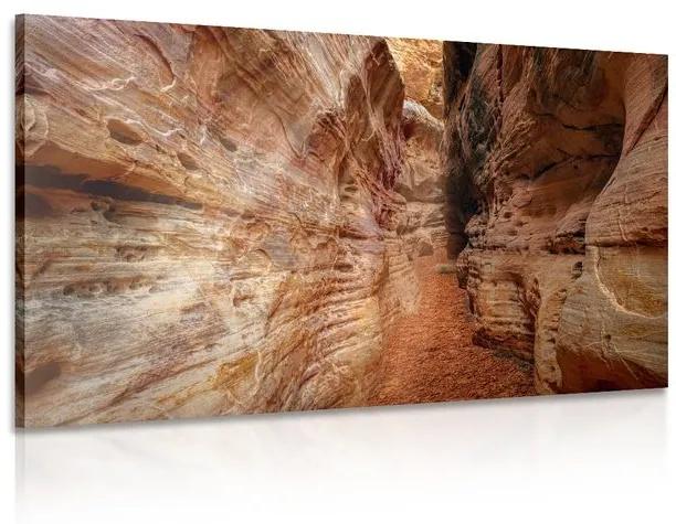 Obraz cestička Grand Canyonem - 90x60 cm