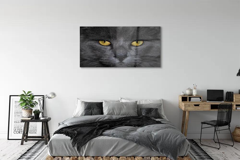 akrylový obraz Černá kočka 125x50 cm