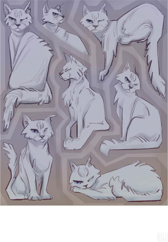 Lucie Talaber | One Eye Cat Rám: Bílý, Velikost: 40 x 30 cm