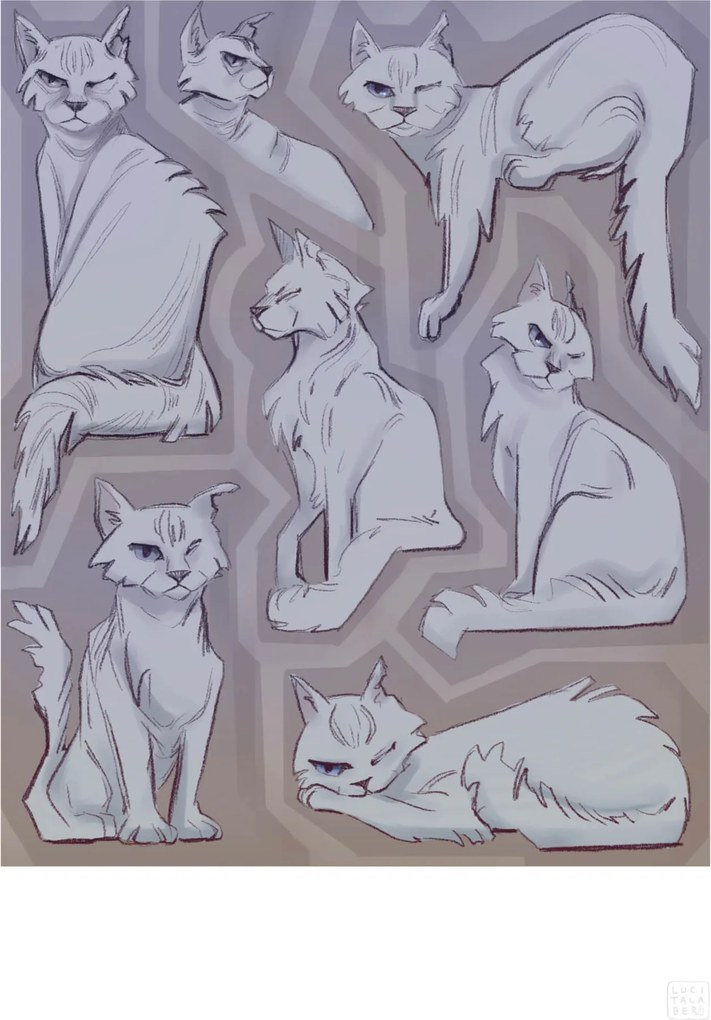 Lucie Talaber | One Eye Cat Rám: Bílý, Velikost: 70 x 50 cm