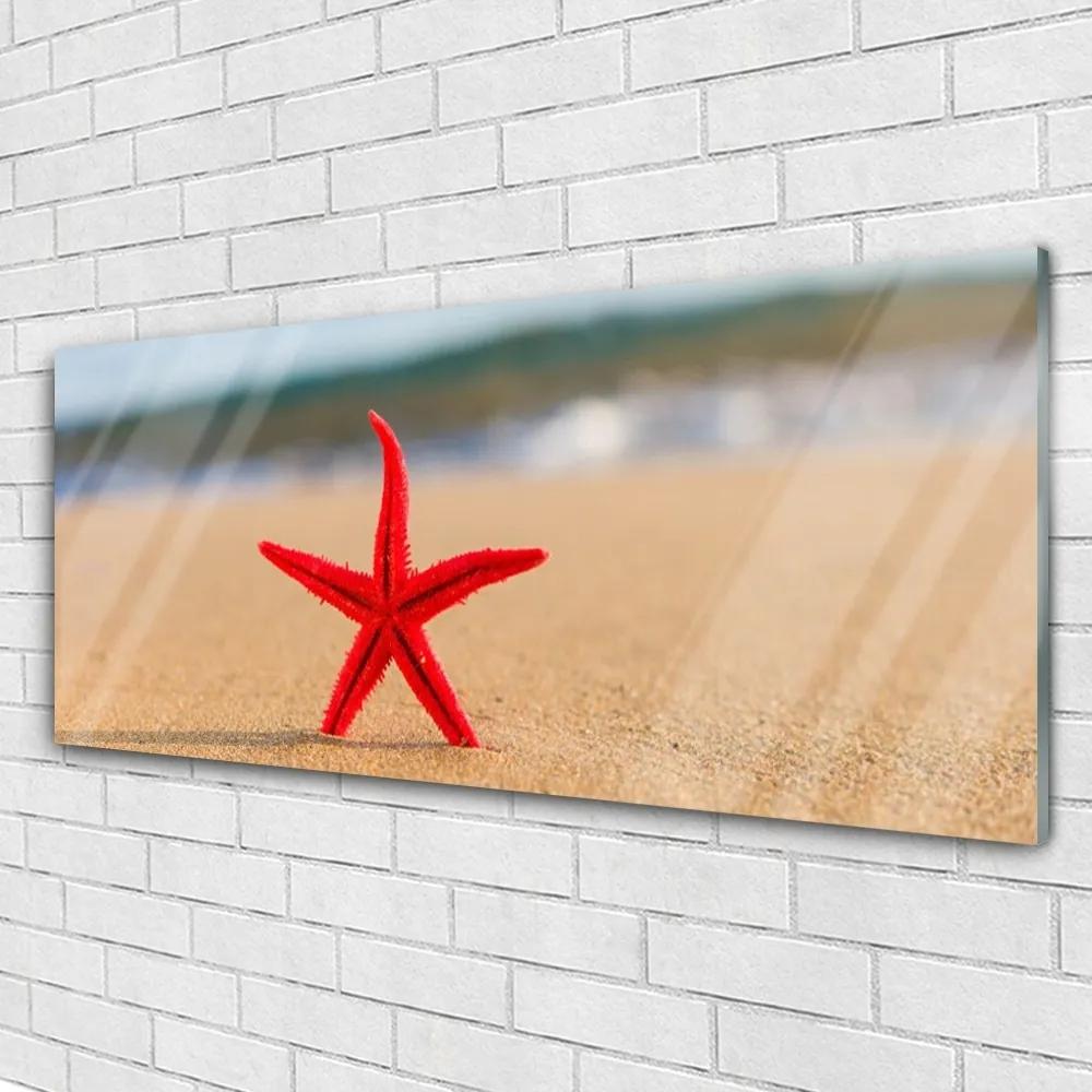 akrylový obraz Pláž Hvězdice Umění 125x50 cm