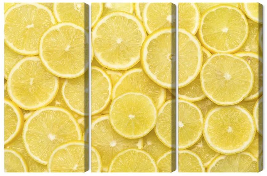 Vícedílný obraz Plátky Citronu Nedostatek Nedostatek Plátno Canvas 150x100