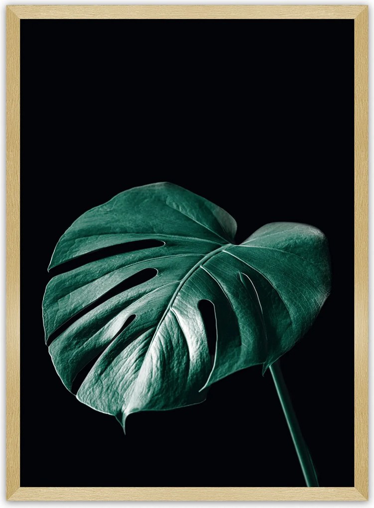 Plakát Dark Monstera