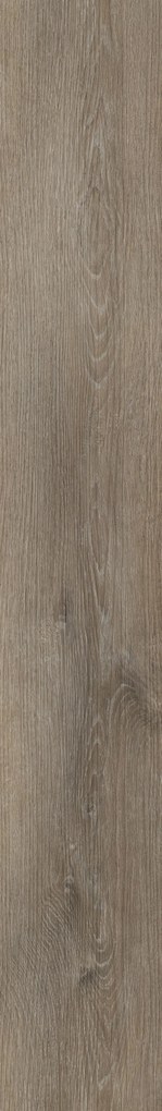 Oneflor, Vinylová podlaha lepená ECO 30 071 Traditional Oak Natural Light - dub, 1219,2 x 185 mm