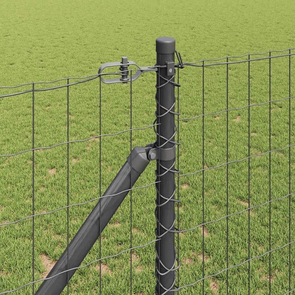 Evropský plot se hroty 10 x 1,2 m Ocel potažená PVC Šedá 3350646