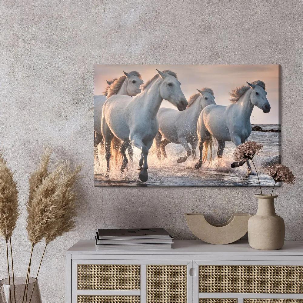 Obraz Bílí Koně V Moři Nedostatek Nedostatek Plátno Canvas 90x60