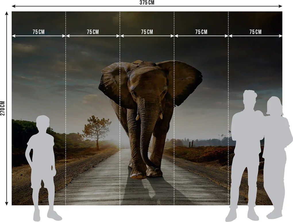 Fototapeta na míru Král Slonů | Vliesová fototapeta na zed' | DFTNXXL0438