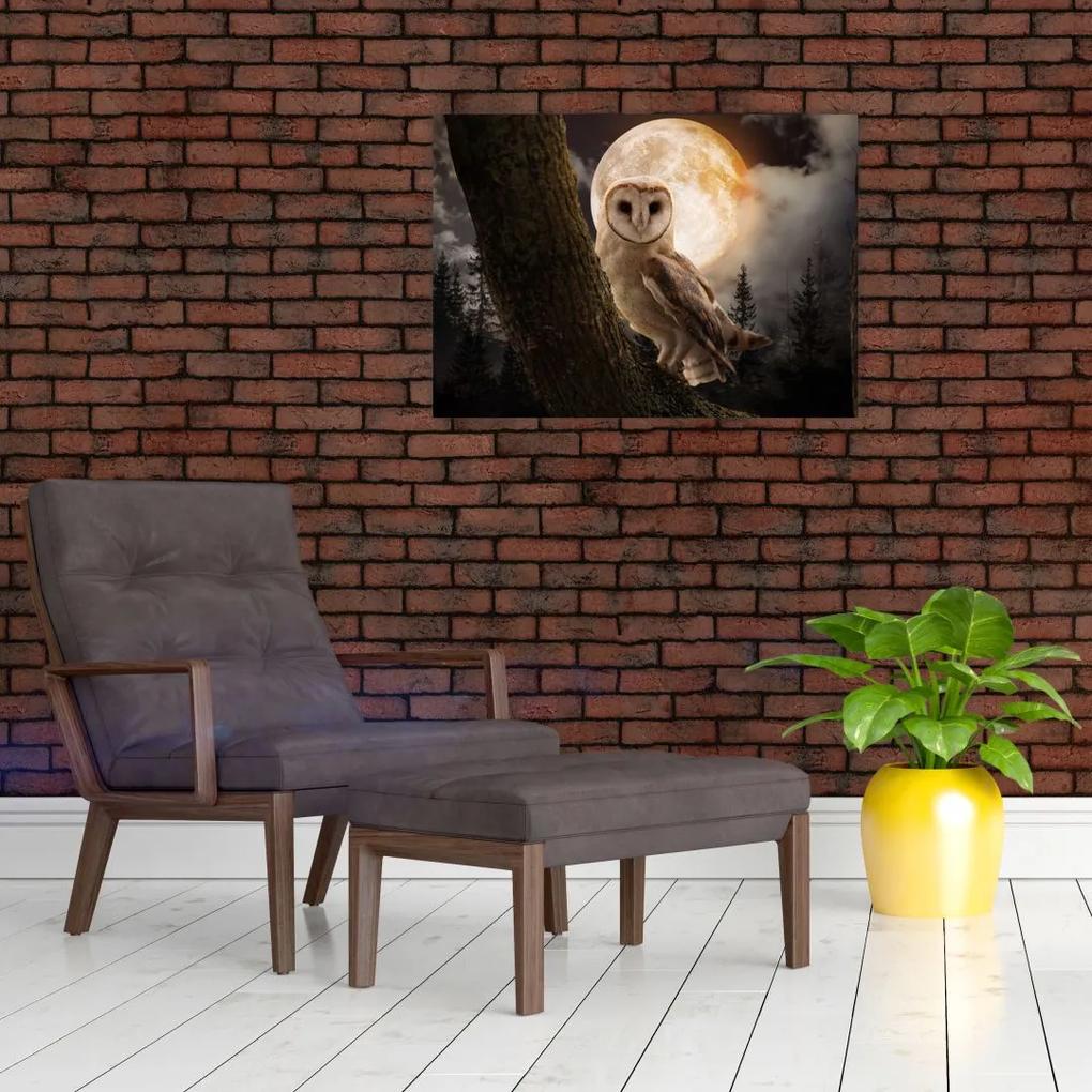 Skleněný obraz sovy pálené (70x50 cm)