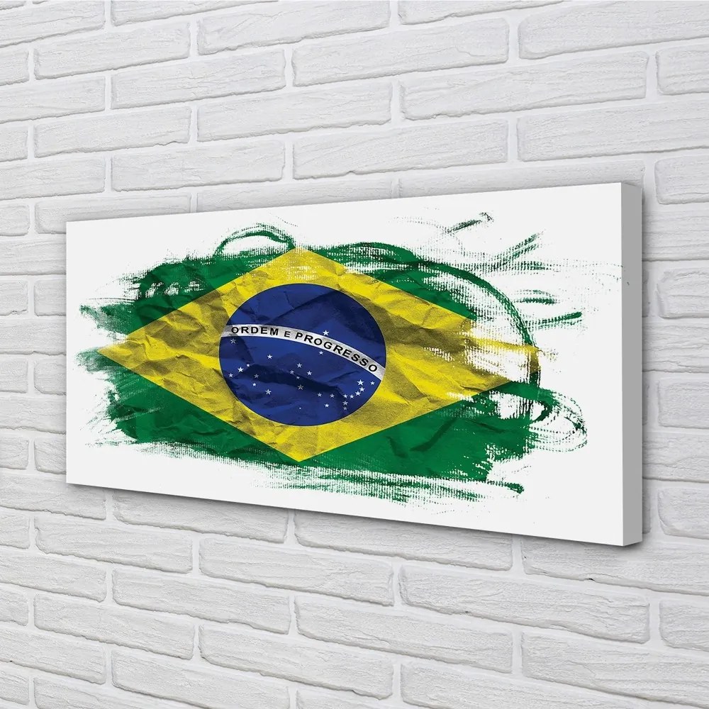 Obrazy na plátně brazilská vlajka 100x50 cm