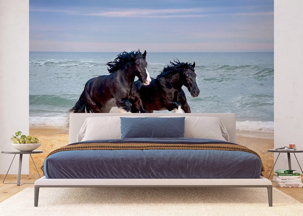 Fototapeta na zed' Cválající Koně | 360 x 254 cm | DFTS1336