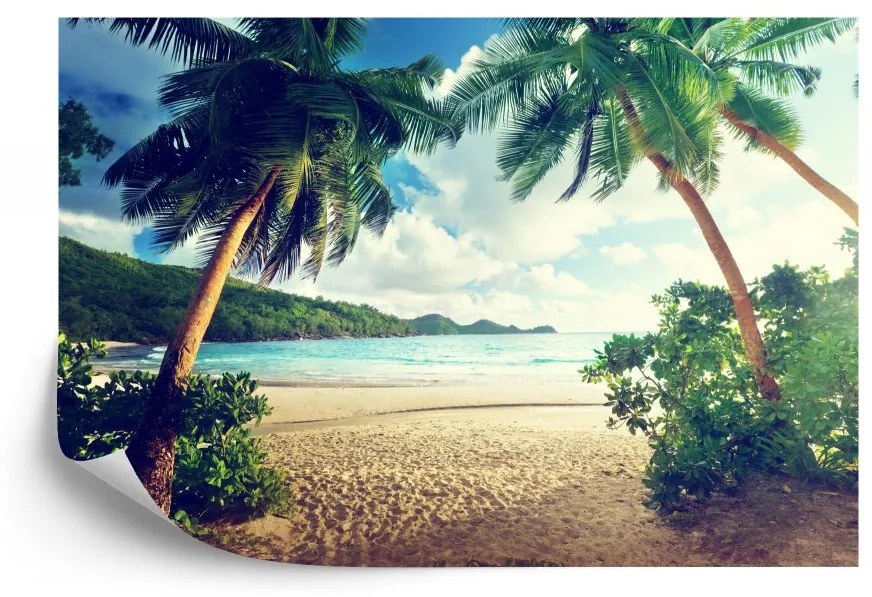Fototapeta Palmy Na Seychelách Strukturální vinyl 360x240
